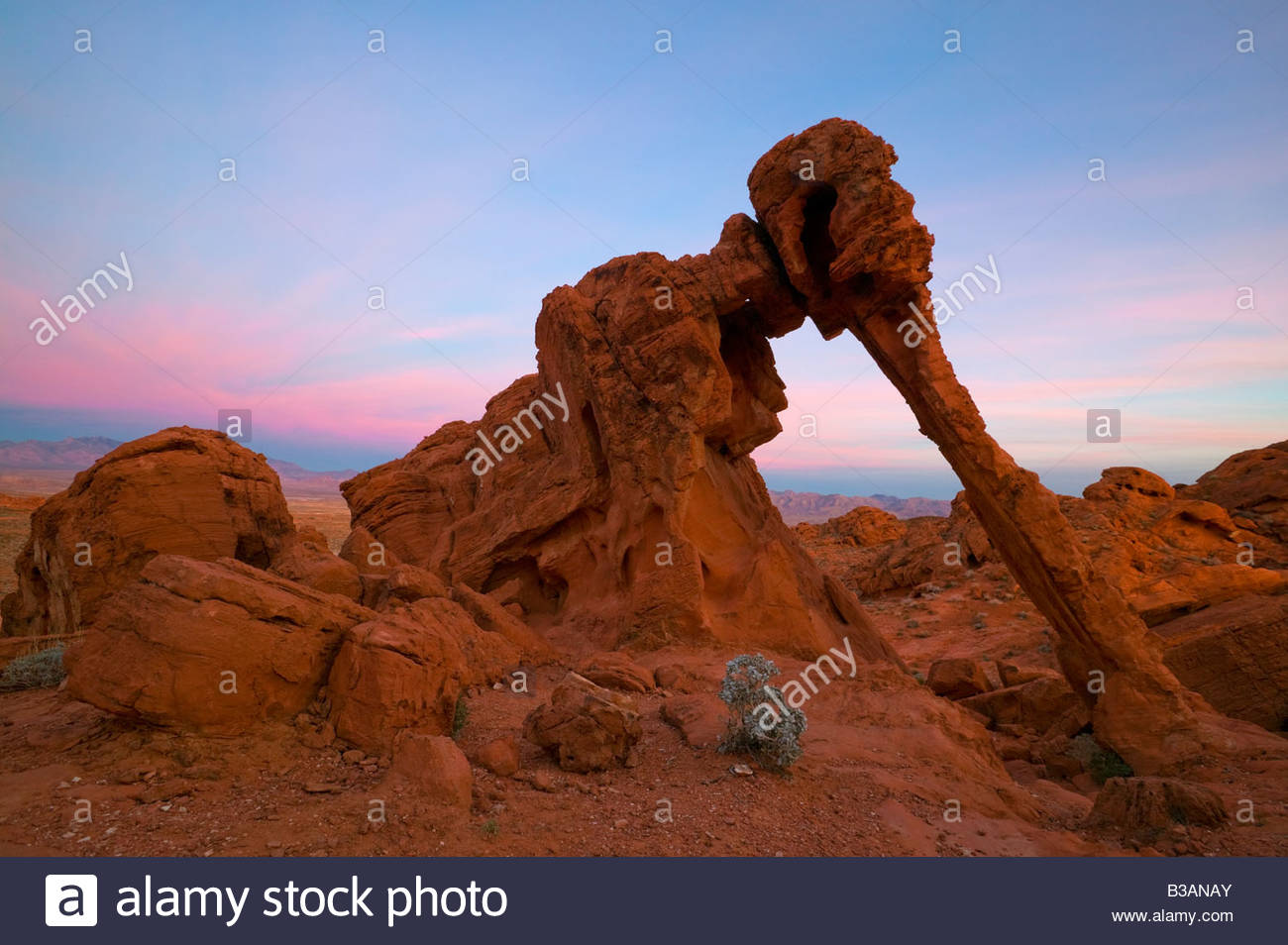 Animal Erosion Stock Photos & Animal Erosion Stock Images - Alamy
