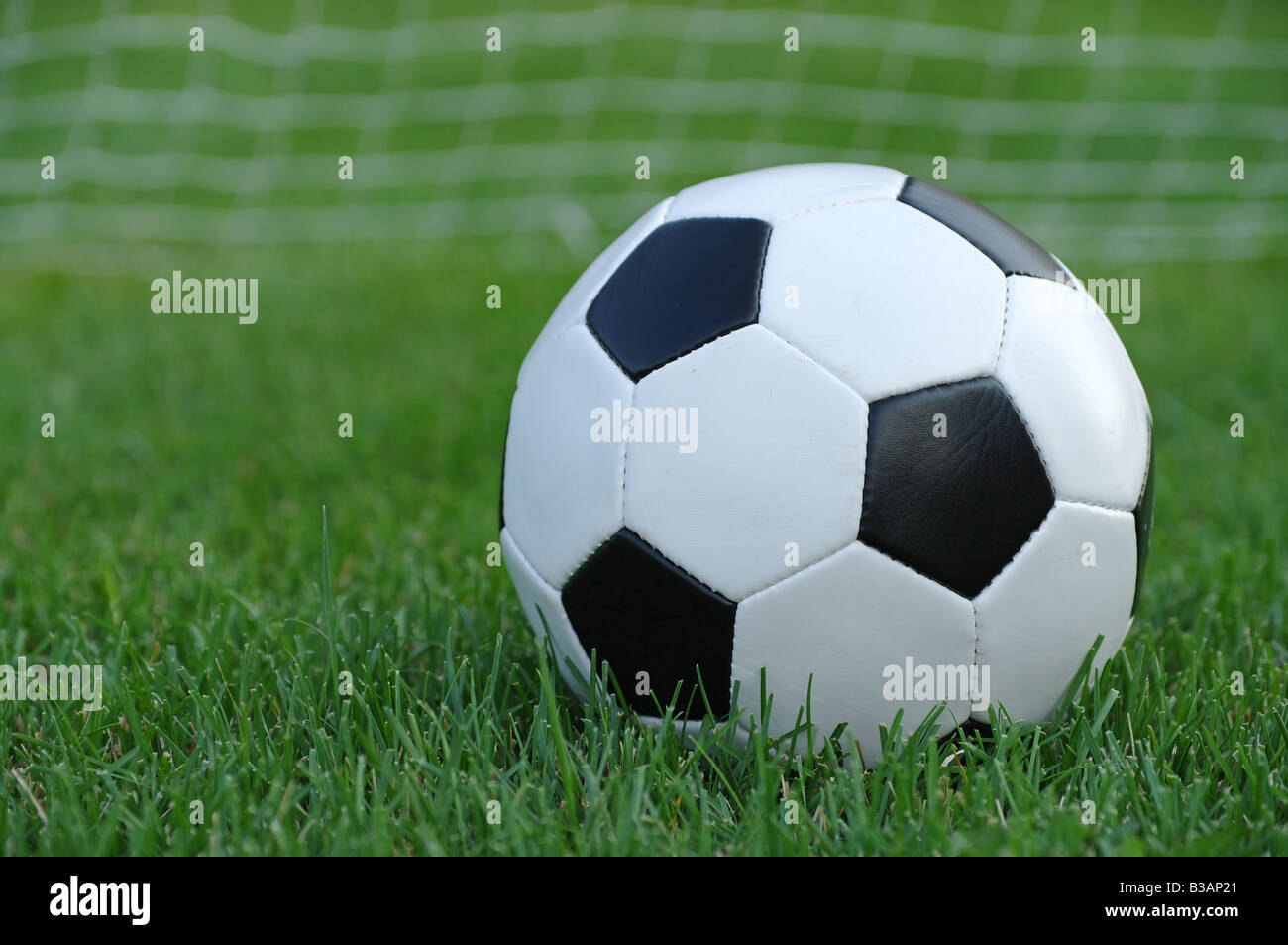Soccer ball in the grass with netting in background Stock Photo - Alamy