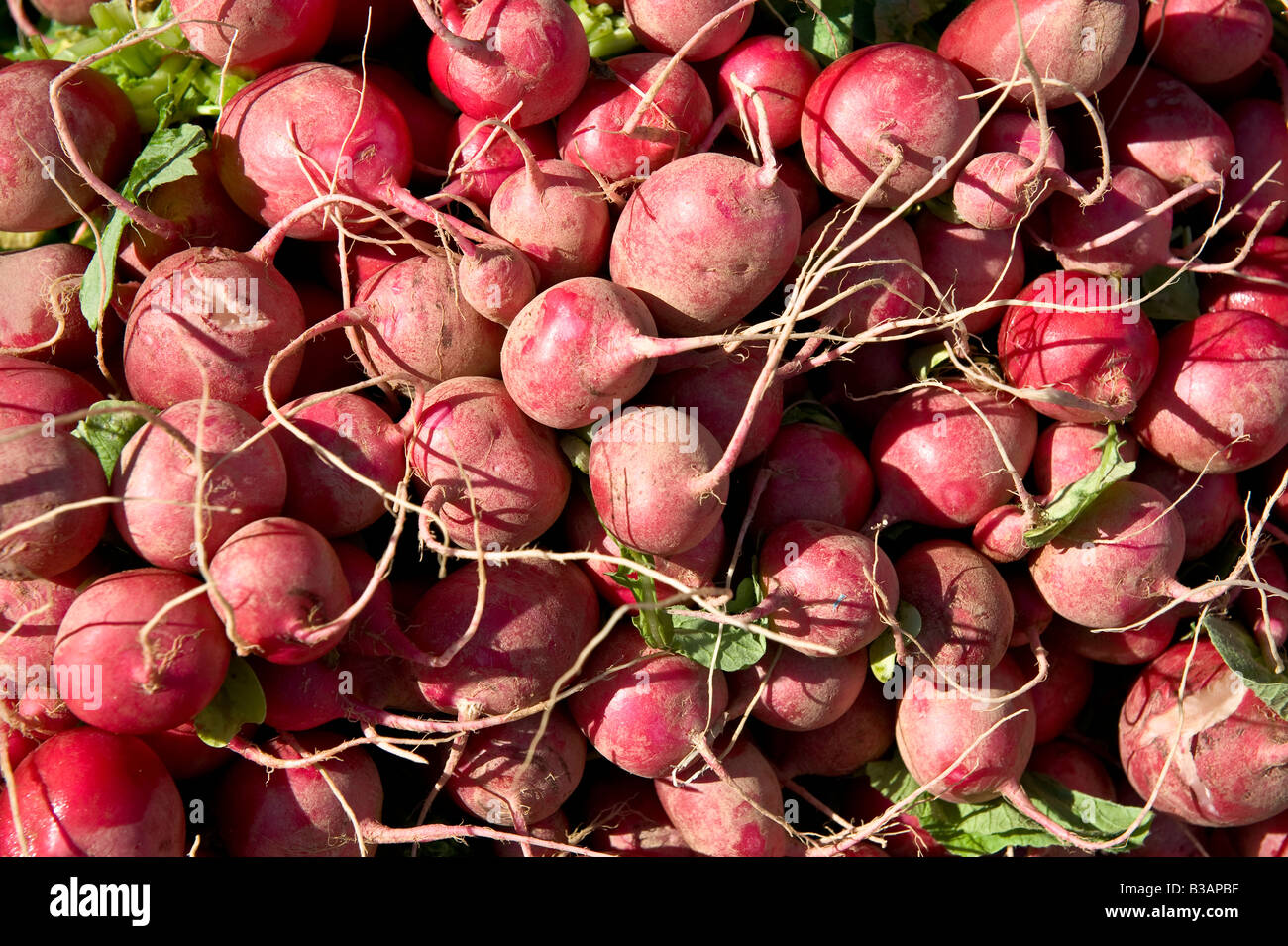 Bushel of fresh organic vegetables for sale at a farmers market Stock ...