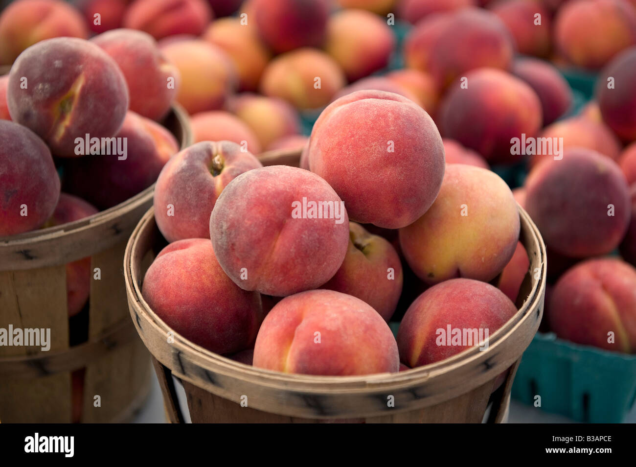 Fresh organic peaches for sale at the farmers market Stock Photo - Alamy
