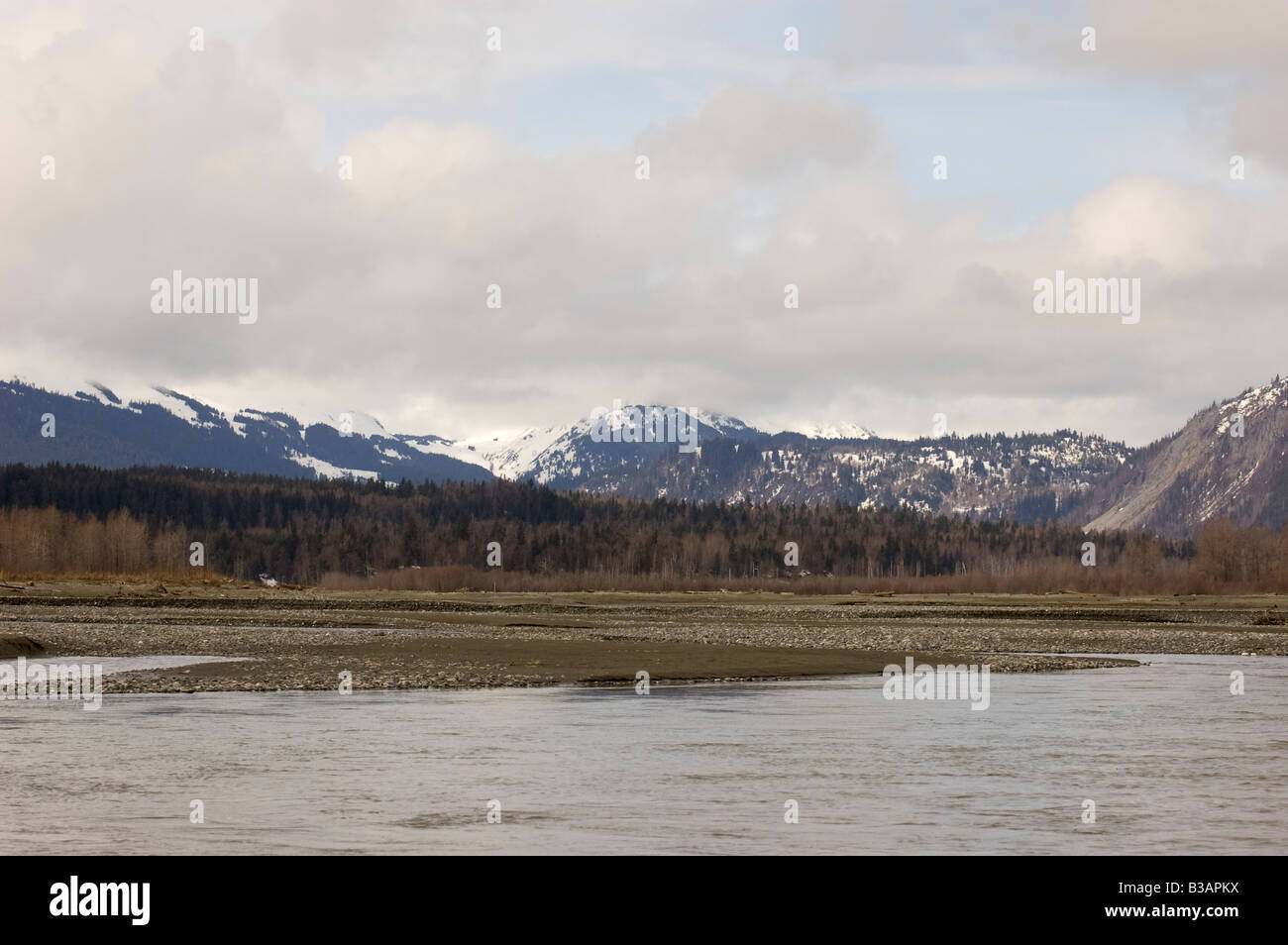 Alaska Chilkat Bald Eagle Preserve Stock Photo - Alamy