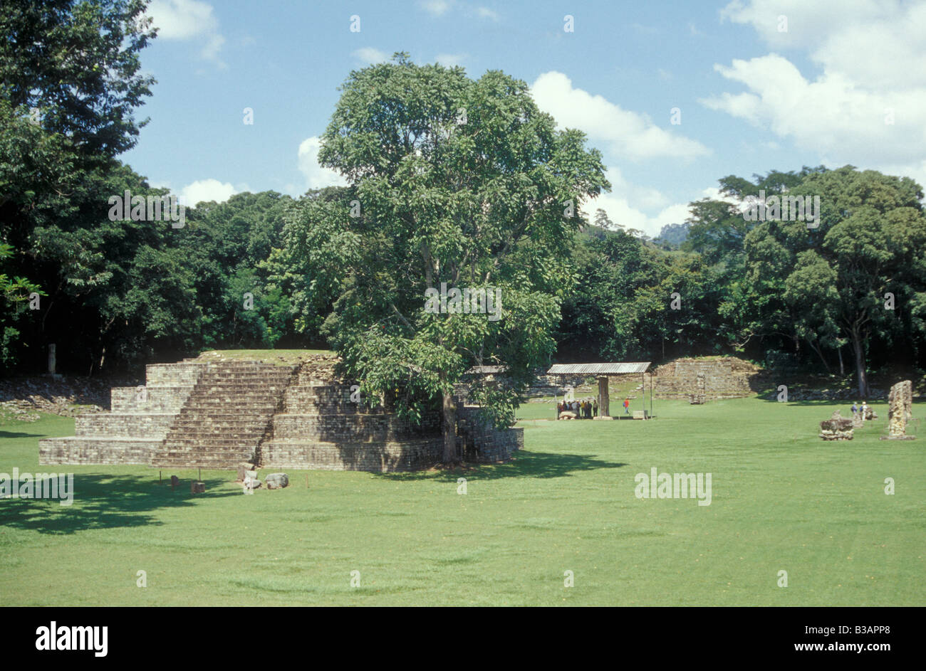 The Great Plaza at the Mayan ruins of Copán, Honduras Stock Photo - Alamy