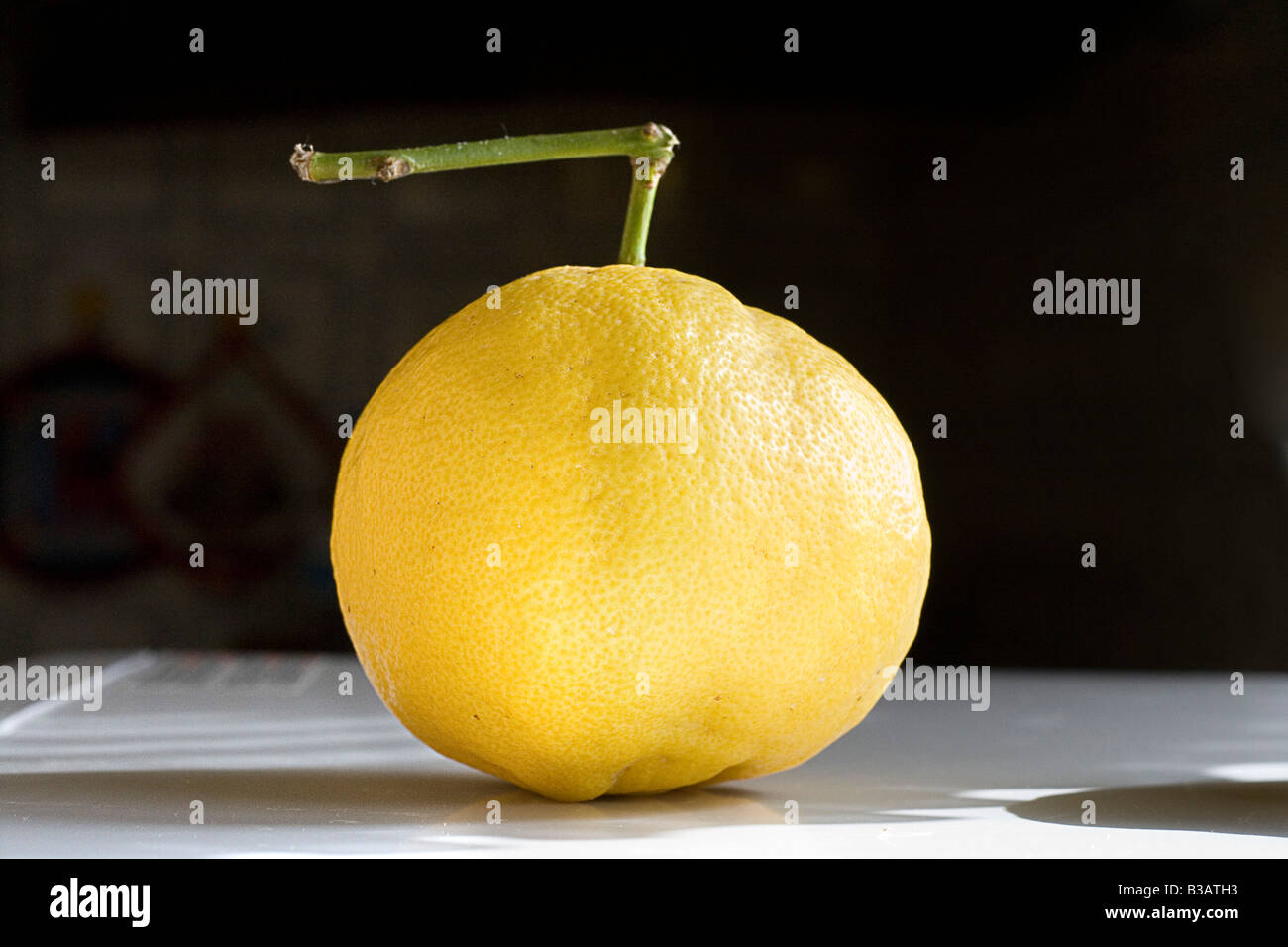 A big lemon on a kitchen floor Stock Photo - Alamy