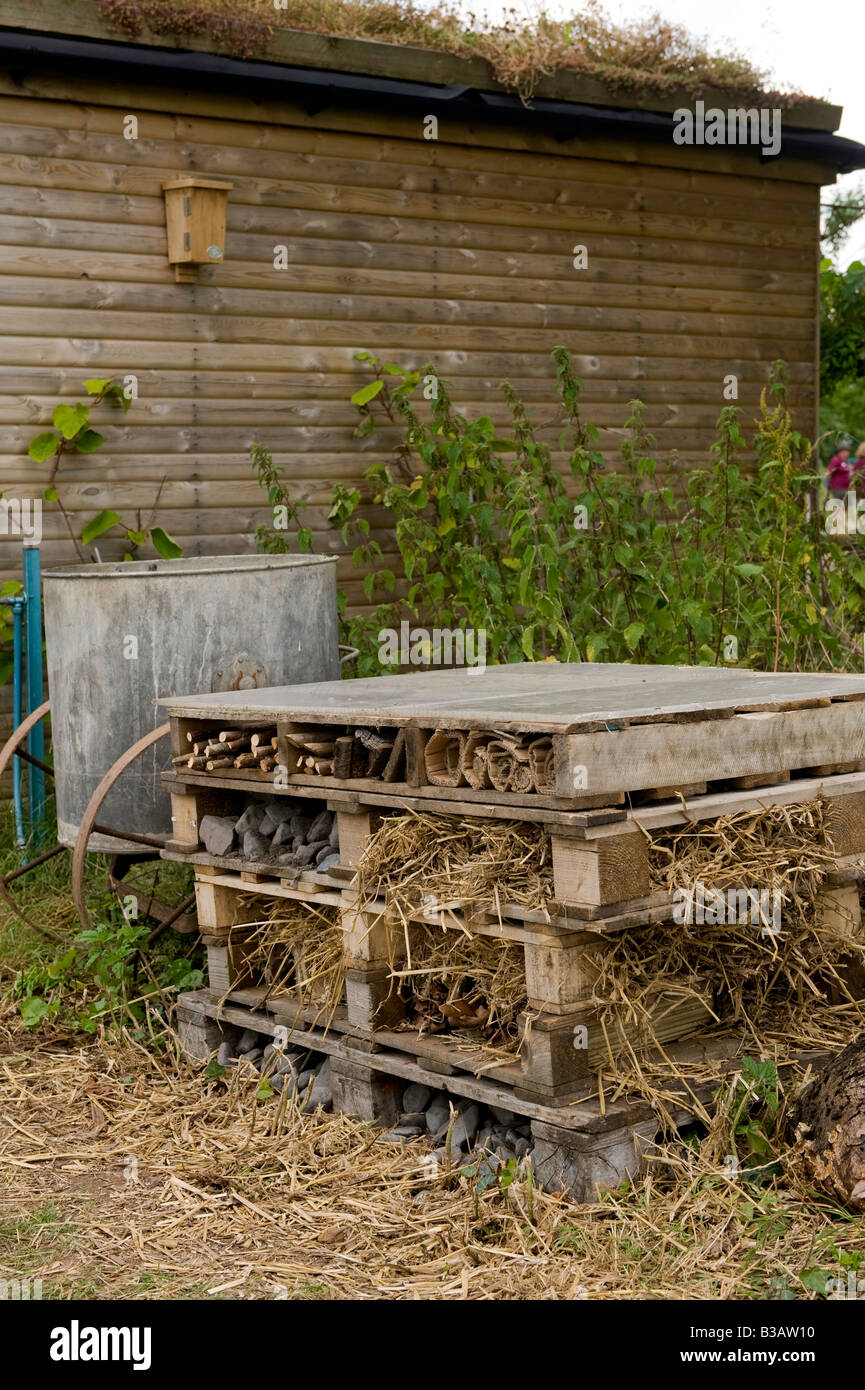 Insect hidey hole made out of old wooden pallets at the back of a ...