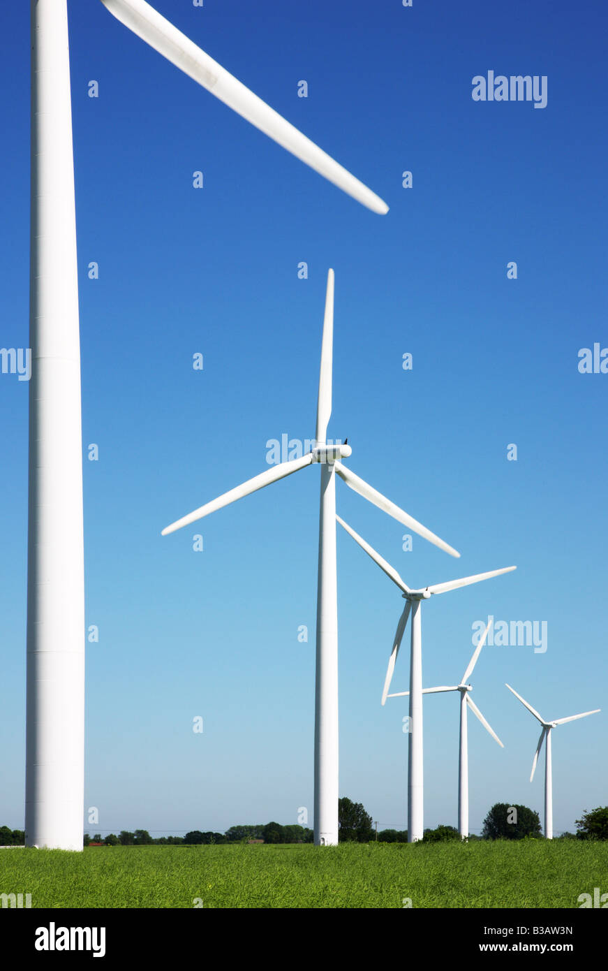 DEU Germany Wind turbines near Grimmen In a rape field Stock Photo - Alamy