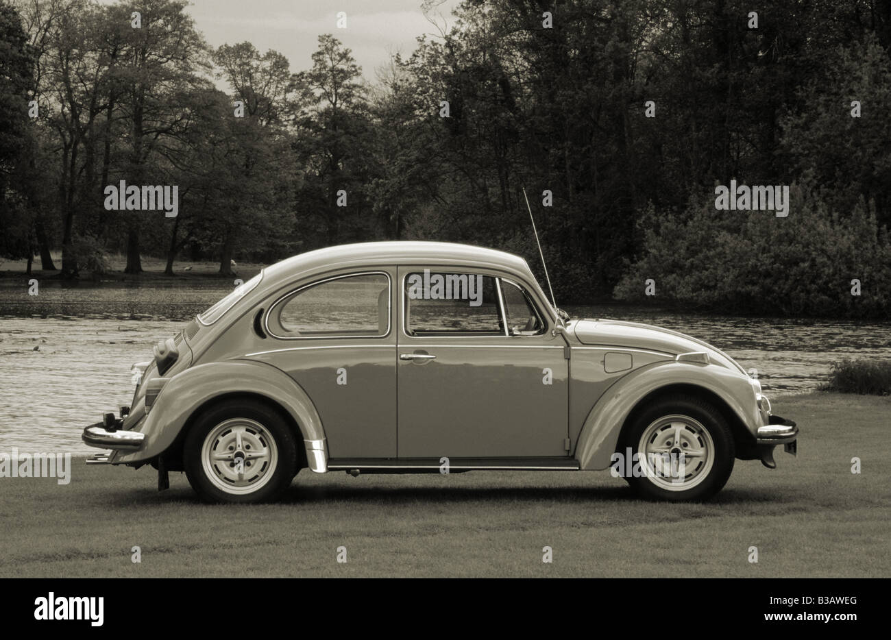 Classic gt beetle hi-res stock photography and images - Alamy