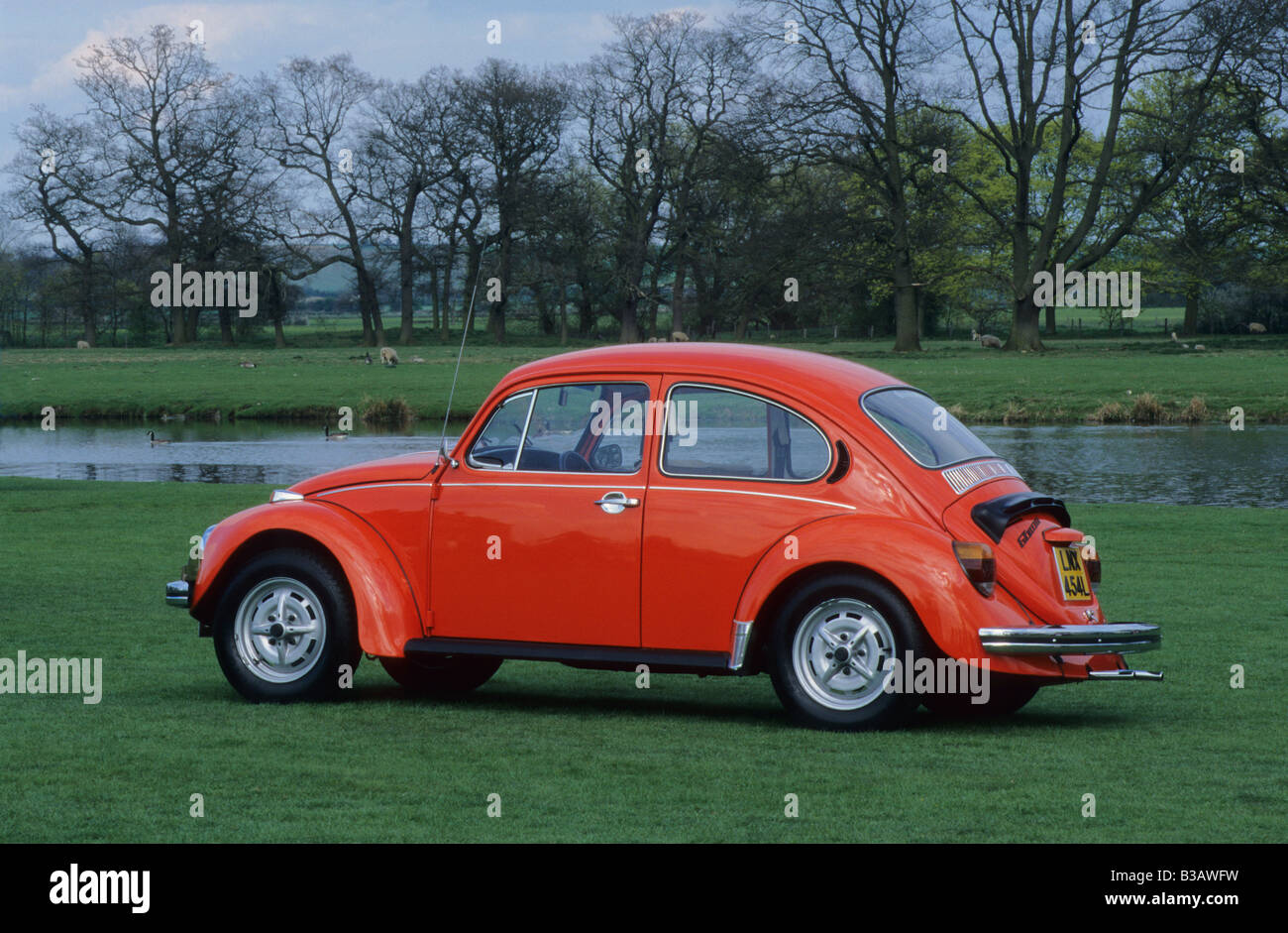 Classic gt beetle hi-res stock photography and images - Alamy