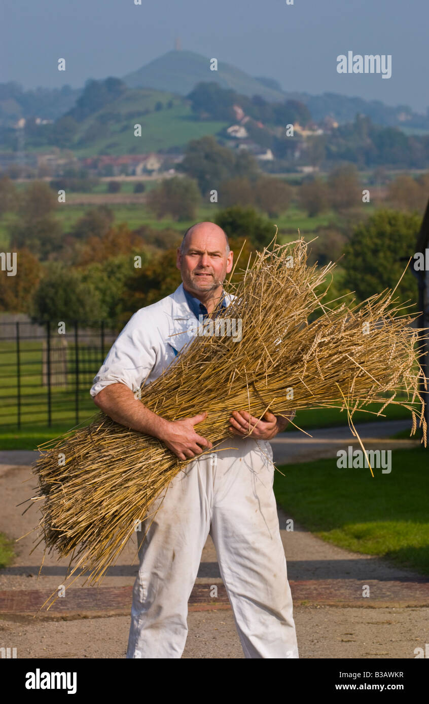 Sharpham park spelt hi-res stock photography and images - Alamy