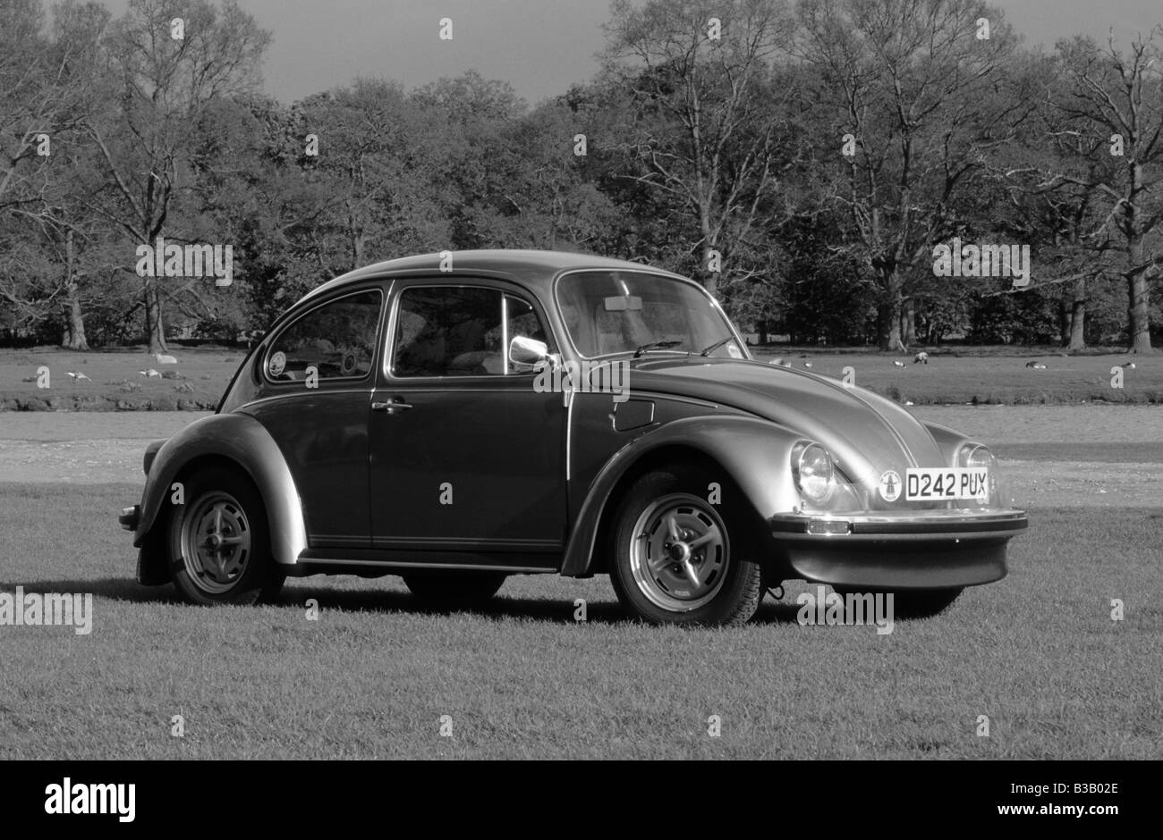 Cars volkswagen vw bug Black and White Stock Photos & Images - Alamy