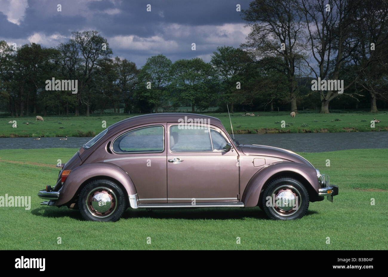 Vw volkswagen 1200 beetle hi-res stock photography and images - Alamy