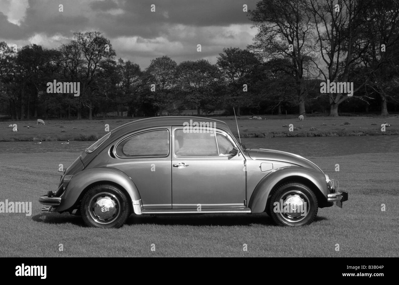 Vw beetle side view Black and White Stock Photos & Images - Alamy