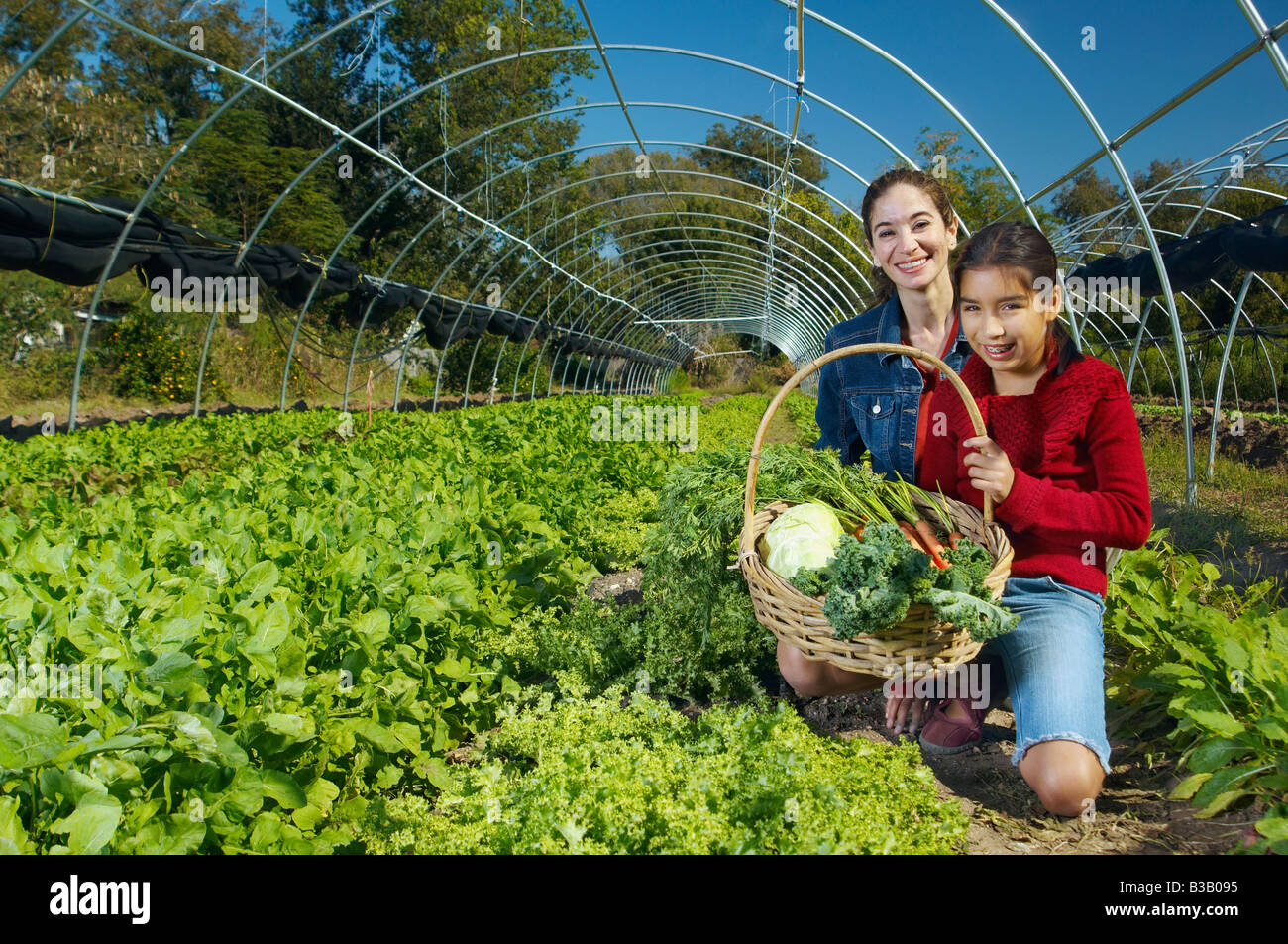 Multi-ethnic mother and daughter harvesting organic produce Stock Photo ...