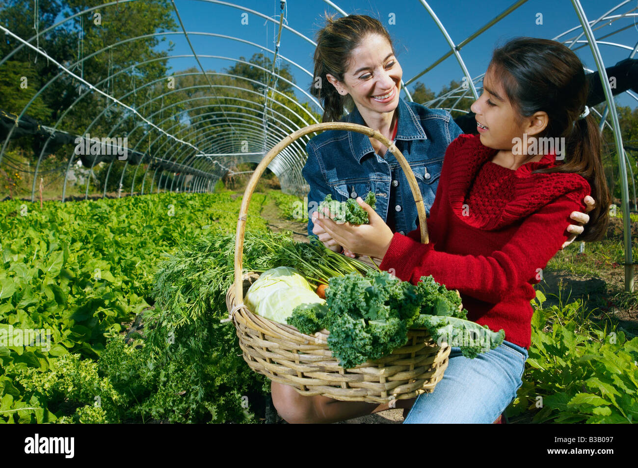 Multi-ethnic mother and daughter harvesting organic produce Stock Photo ...