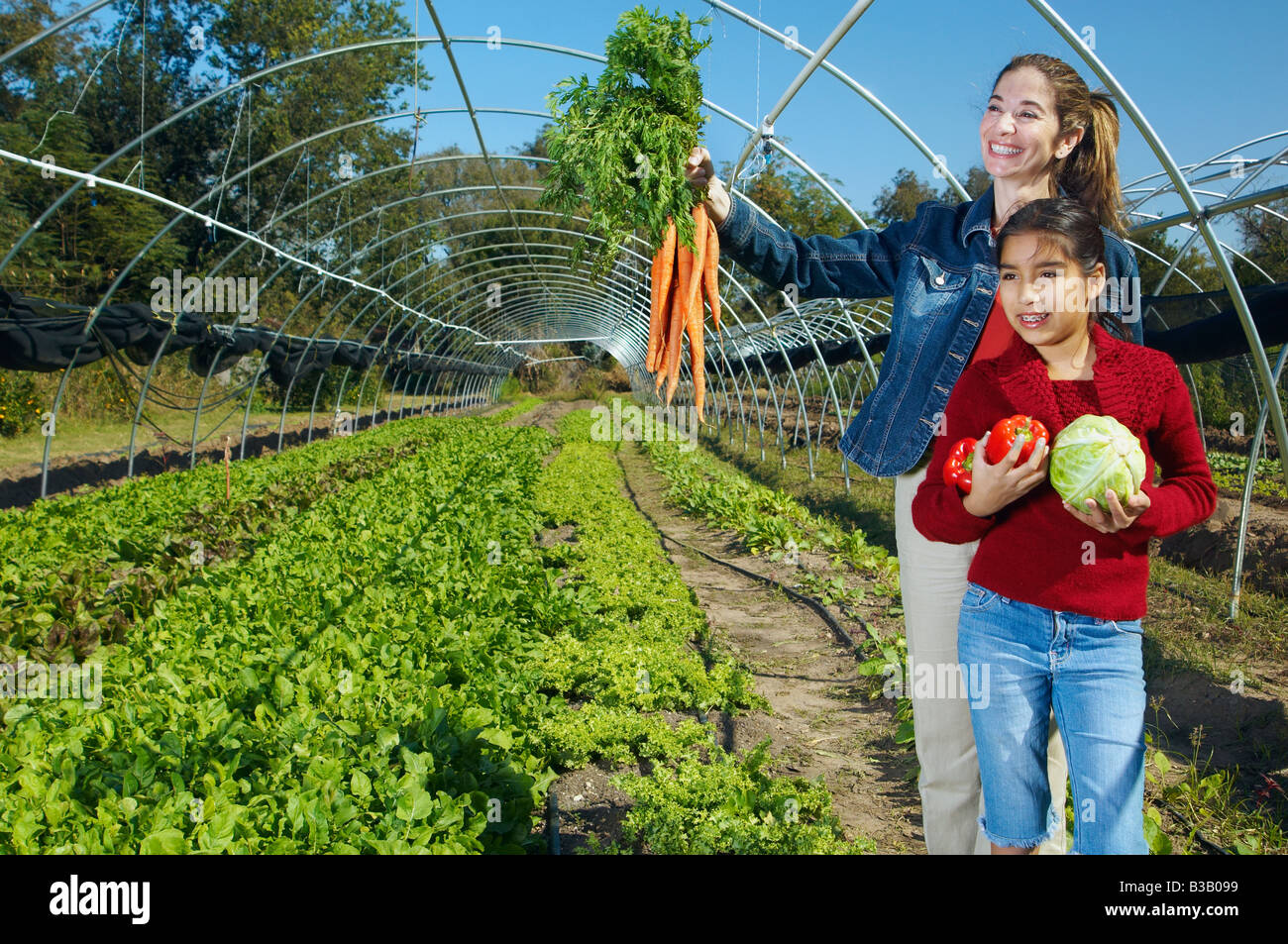 Multi-ethnic mother and daughter harvesting organic produce Stock Photo ...