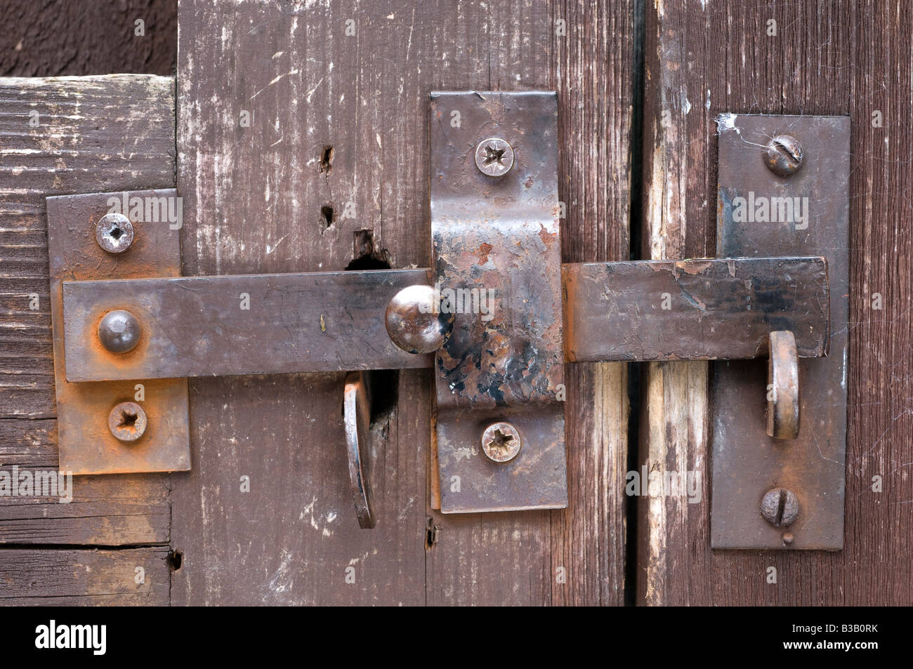 Sneck High Resolution Stock Photography and Images - Alamy