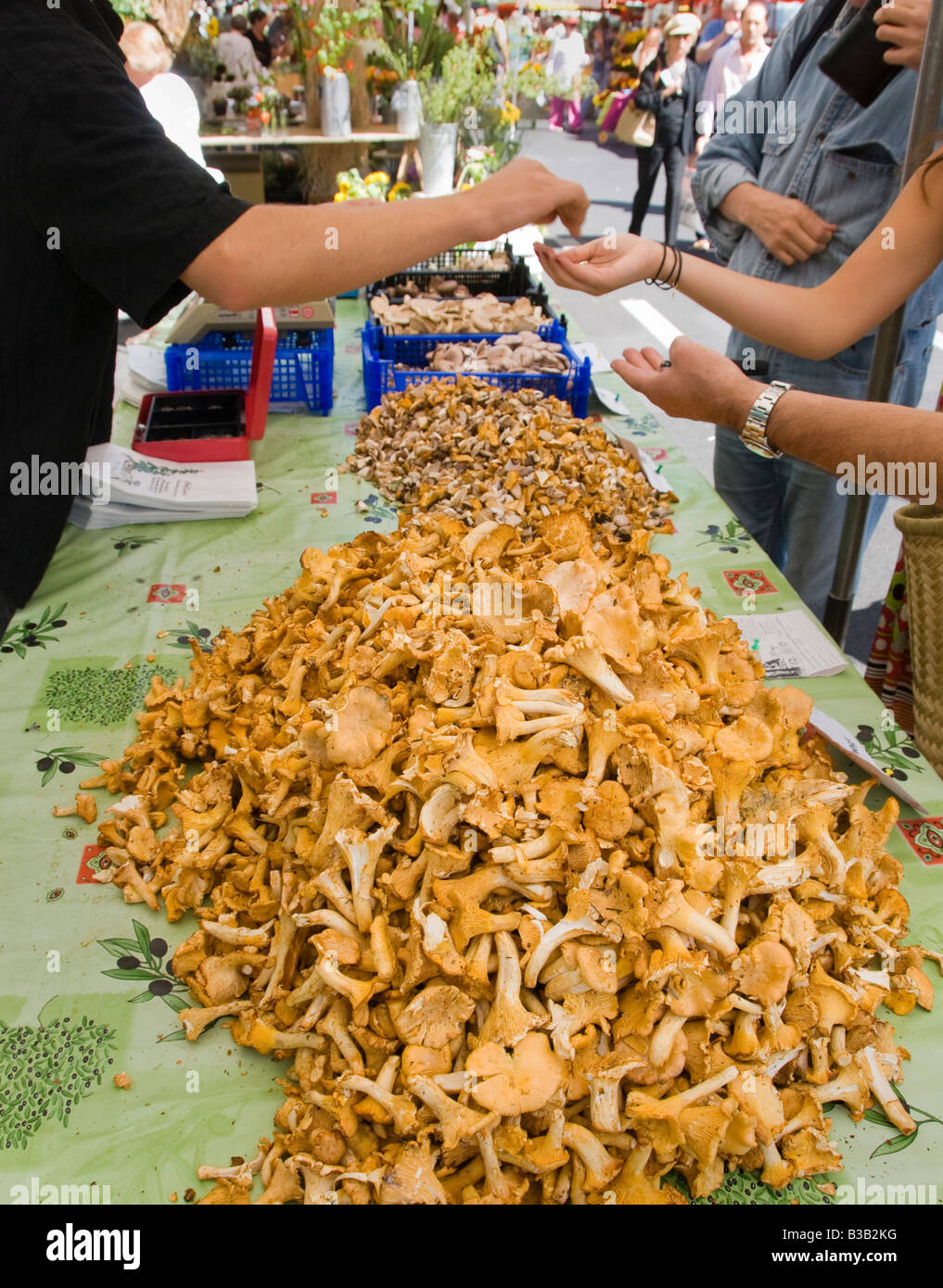 Mushrooms for sale at a market stall Stock Photo - Alamy
