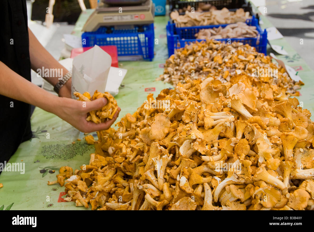 Mushrooms on a market stall Stock Photo - Alamy