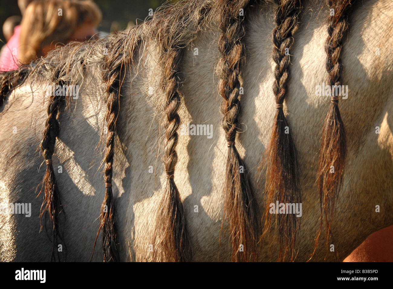 Braided hair detail hi-res stock photography and images - Alamy
