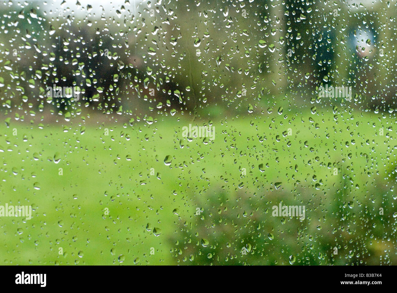 Rain Falling On A Window Close Window Rain Drops Falling Down