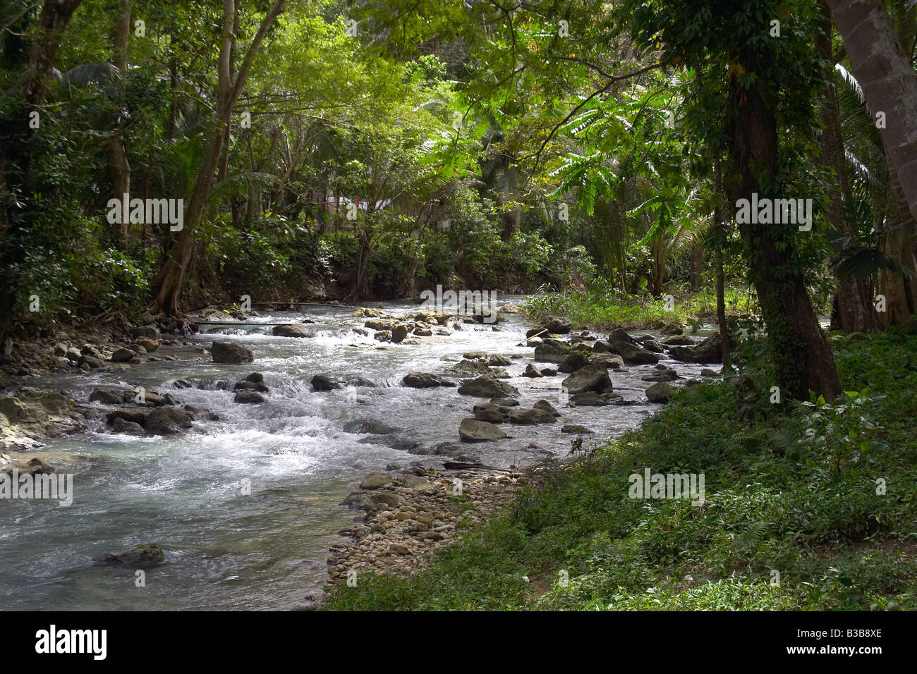 Scene below the falls on Kawasan River near Badian in central Cebu ...