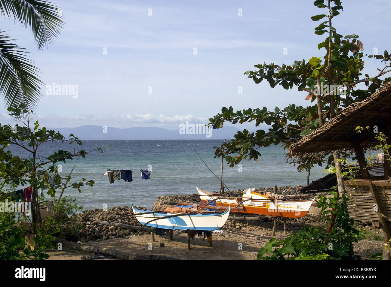 Coastal scenery near the falls on Kawasan River close to Badian in ...