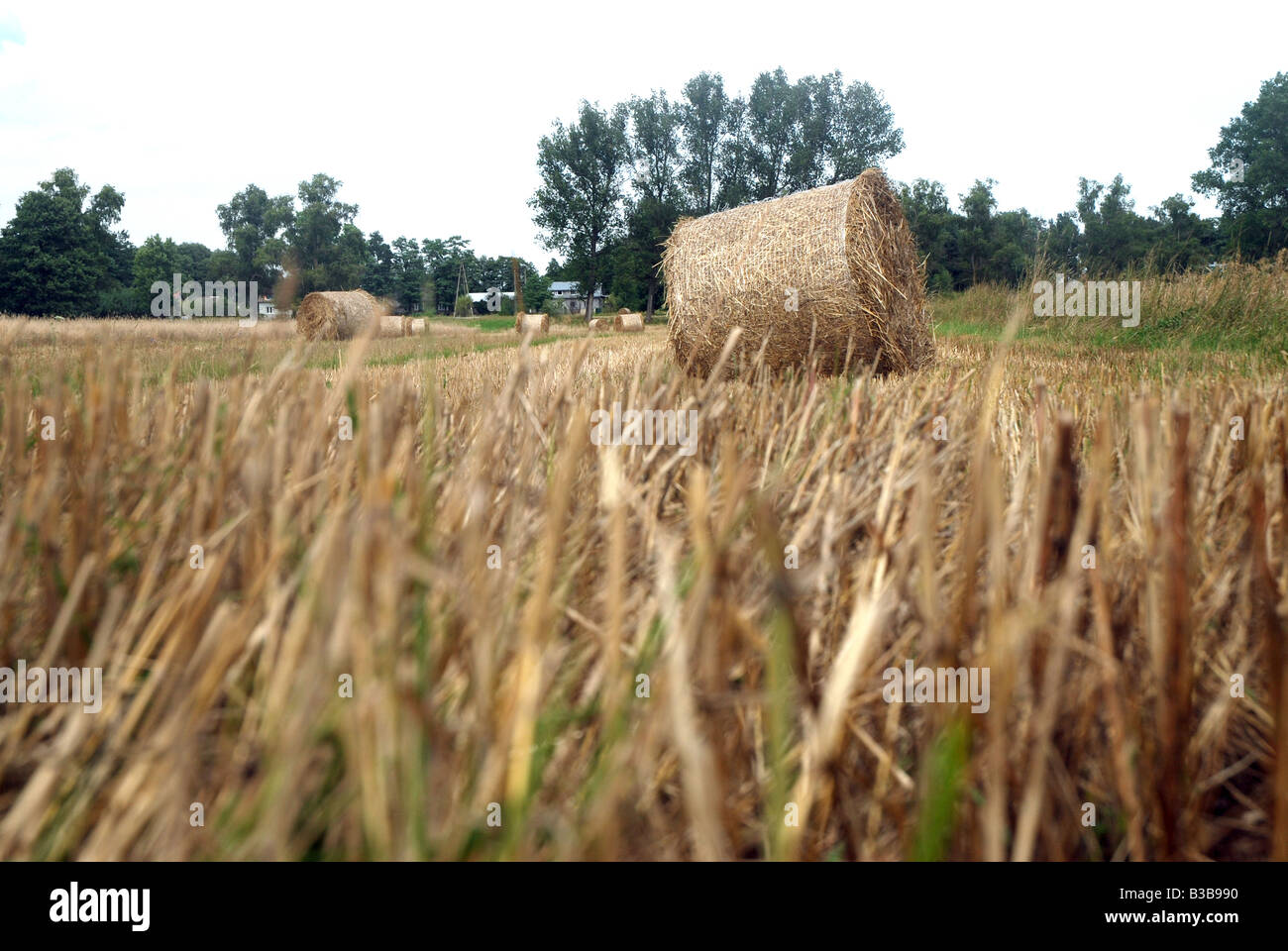Strawbales hi-res stock photography and images - Alamy