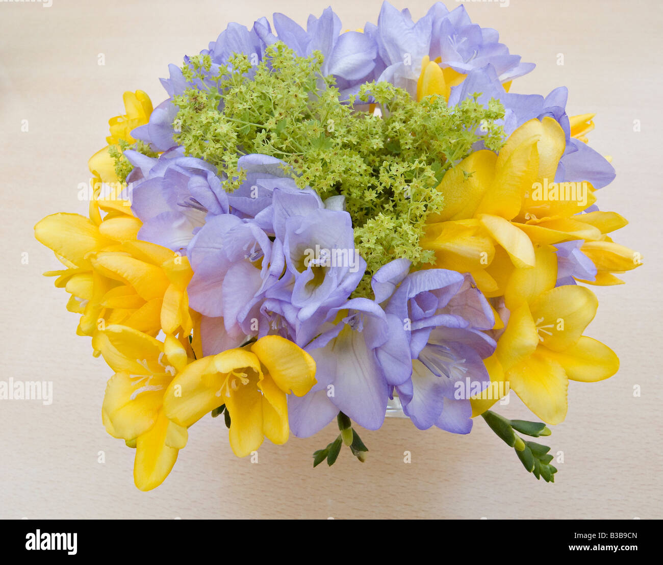 Arrangement of lilac flowers hi-res stock photography and images - Alamy