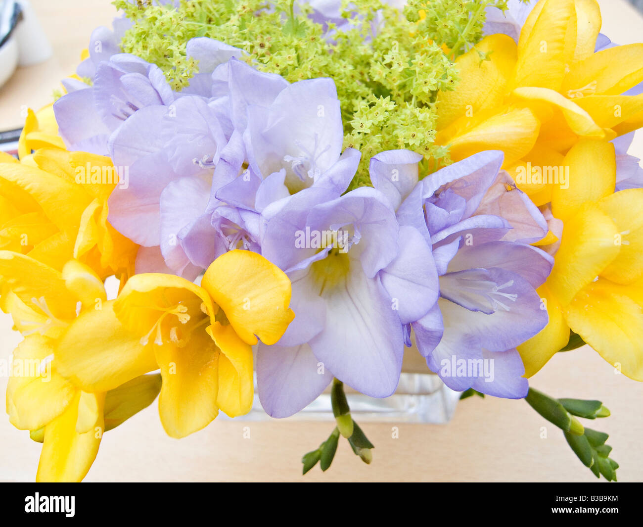 Yellow and blue colour hi-res stock photography and images - Alamy