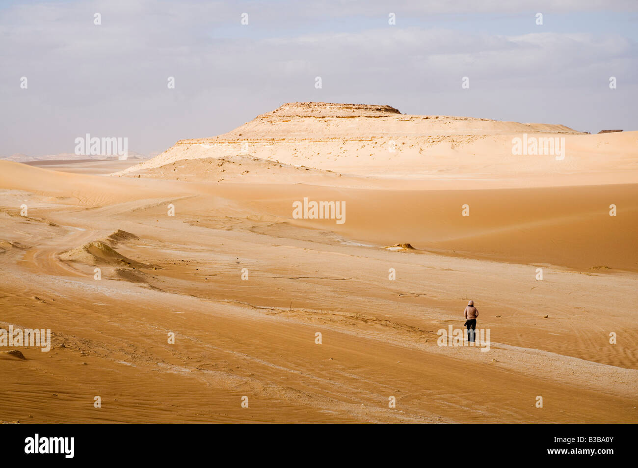 Hiker in Desert, Bir Wahed, Libyan Desert, Egypt Stock Photo - Alamy
