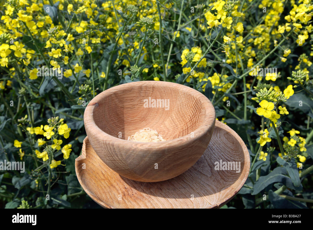 Rapeseed oil bowl hi-res stock photography and images - Alamy