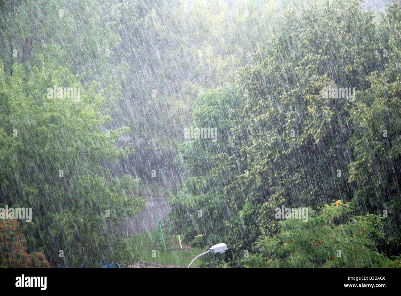 Heavy fall of rain Stock Photo - Alamy