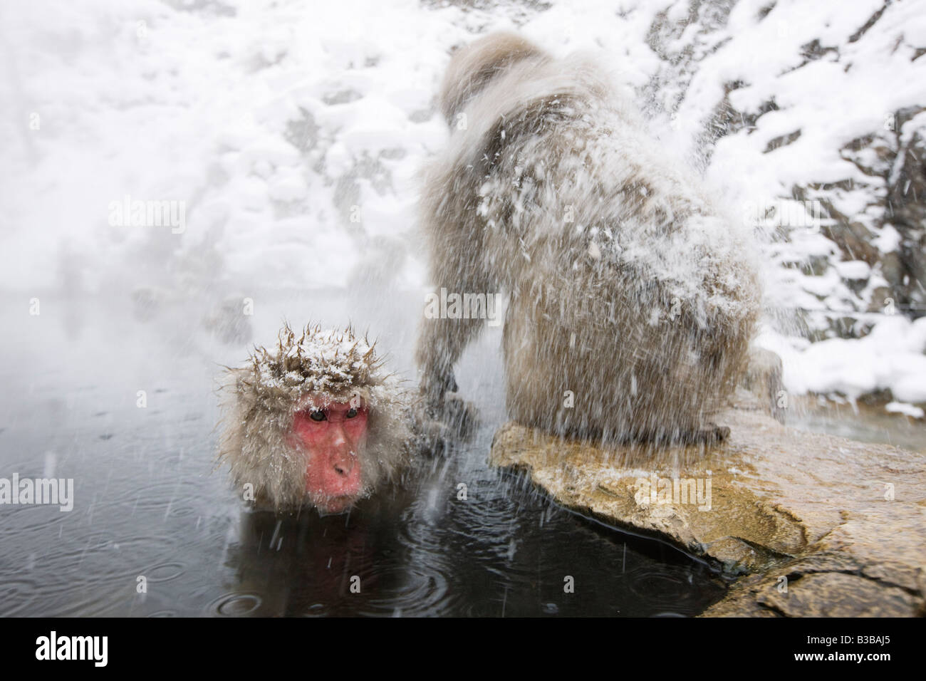 Japanese onsen thermal springs hi-res stock photography and images - Alamy