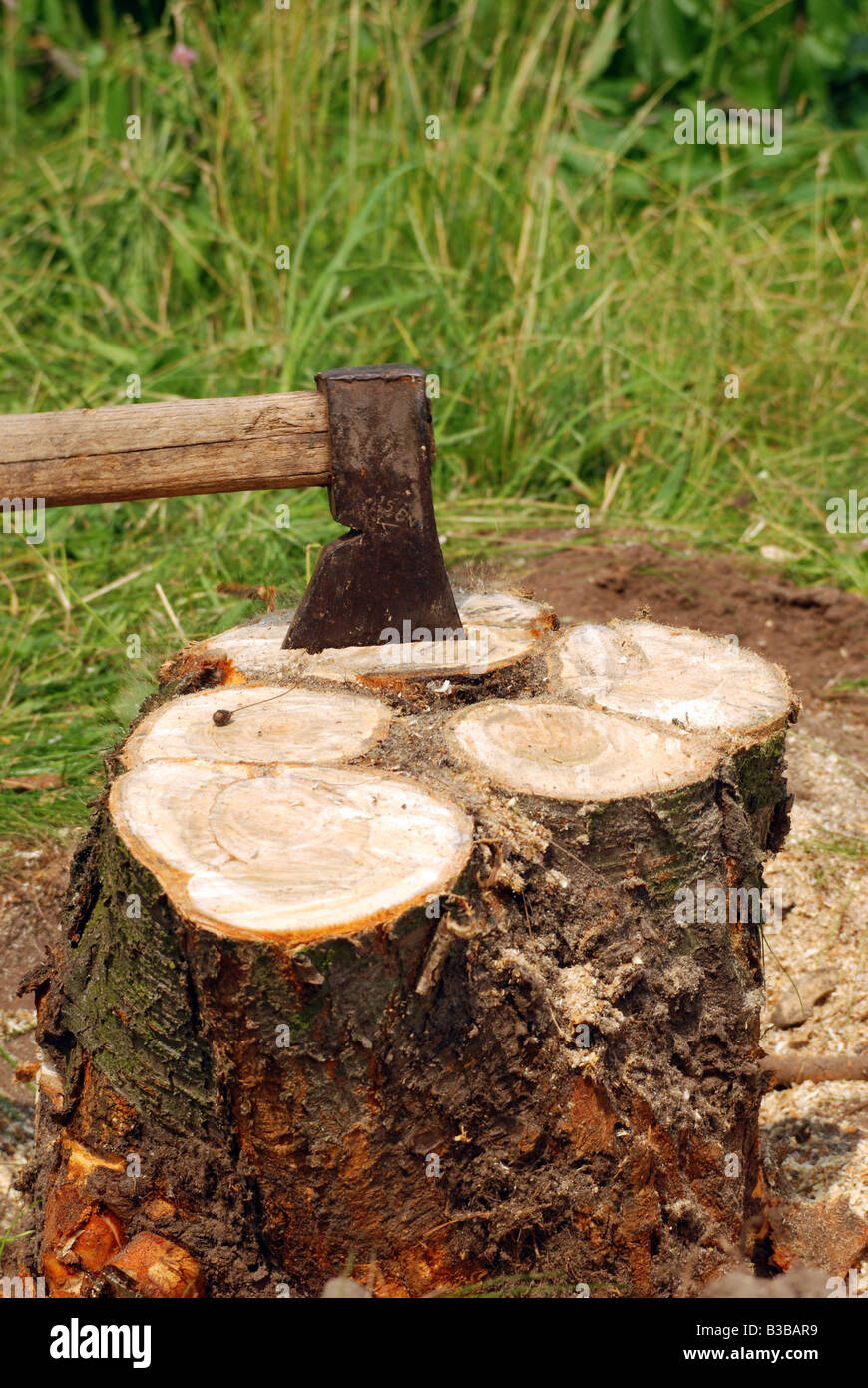 Impaled axe hi-res stock photography and images - Alamy