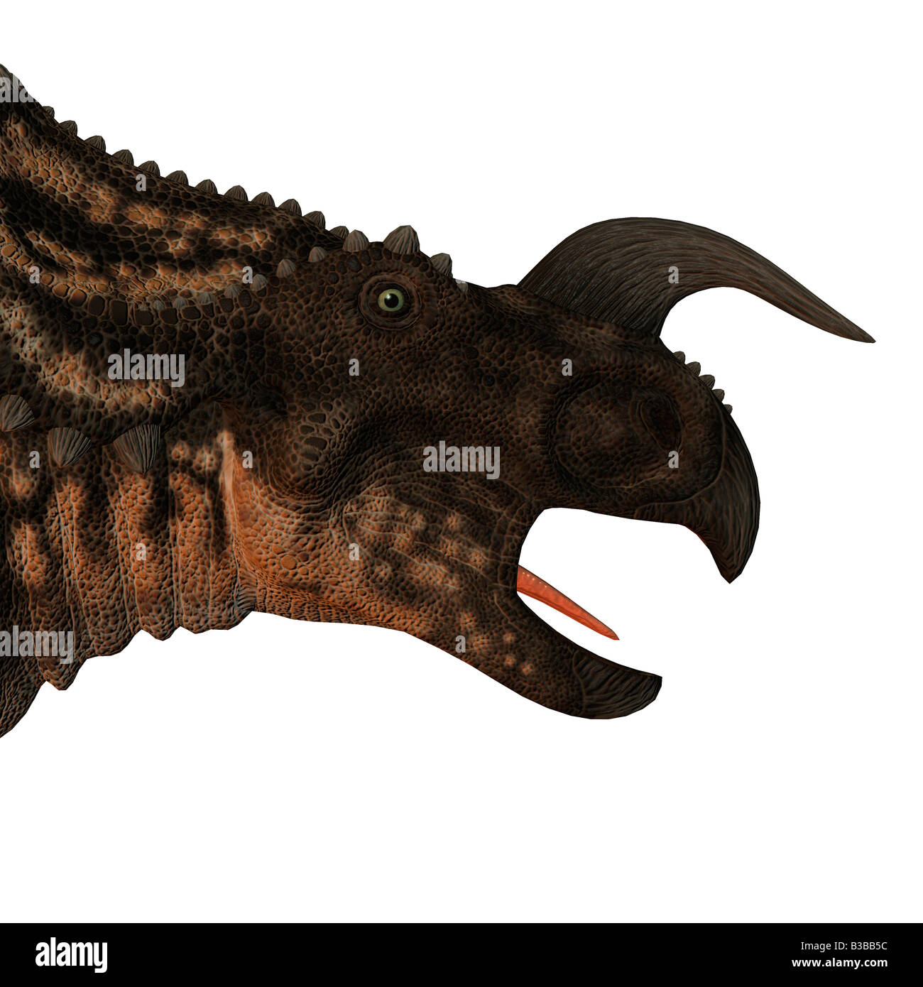 Einiosaurus hi-res stock photography and images - Alamy