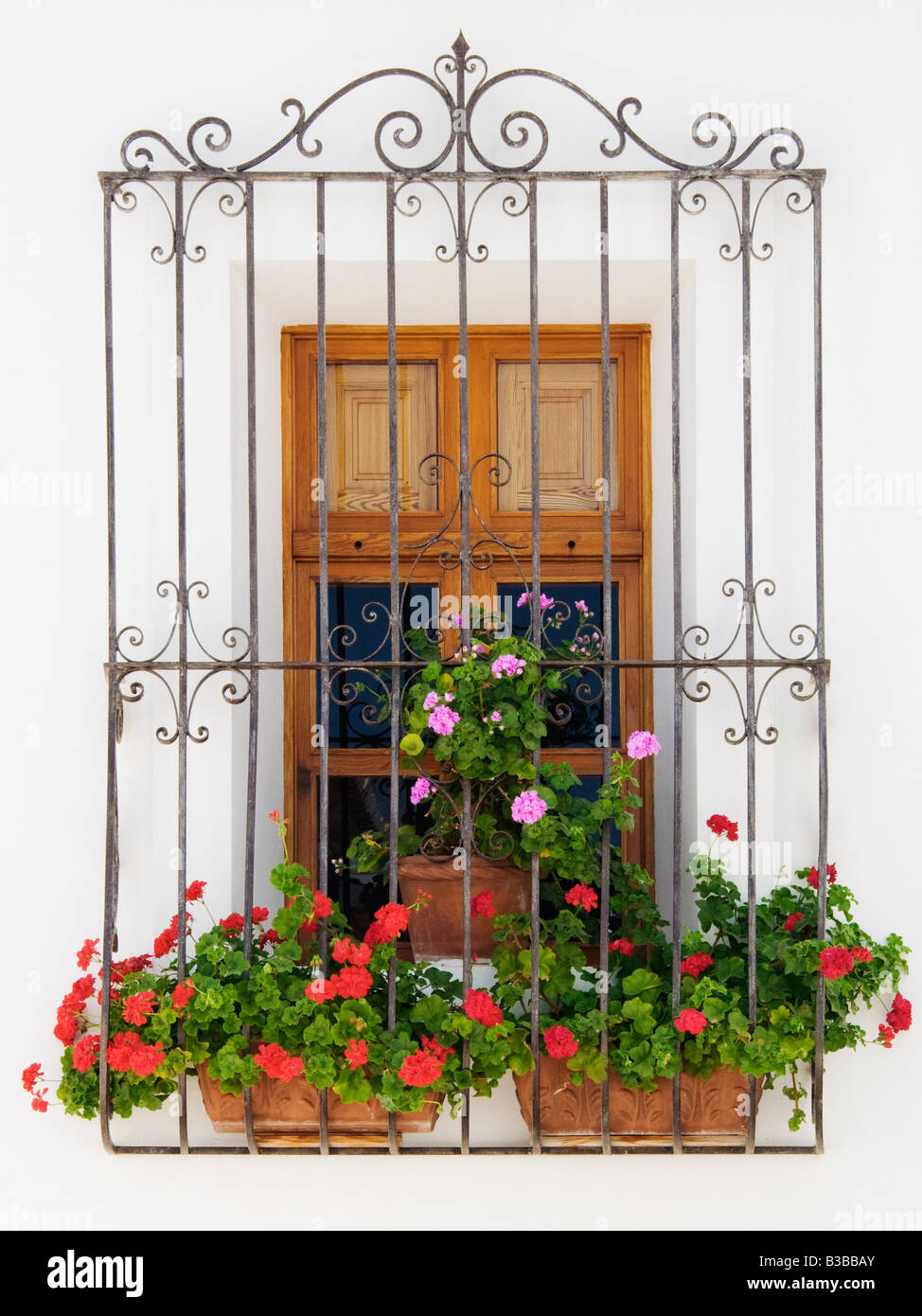 Potted Plants in Window, Altea, Valencia, Spain Stock Photo - Alamy