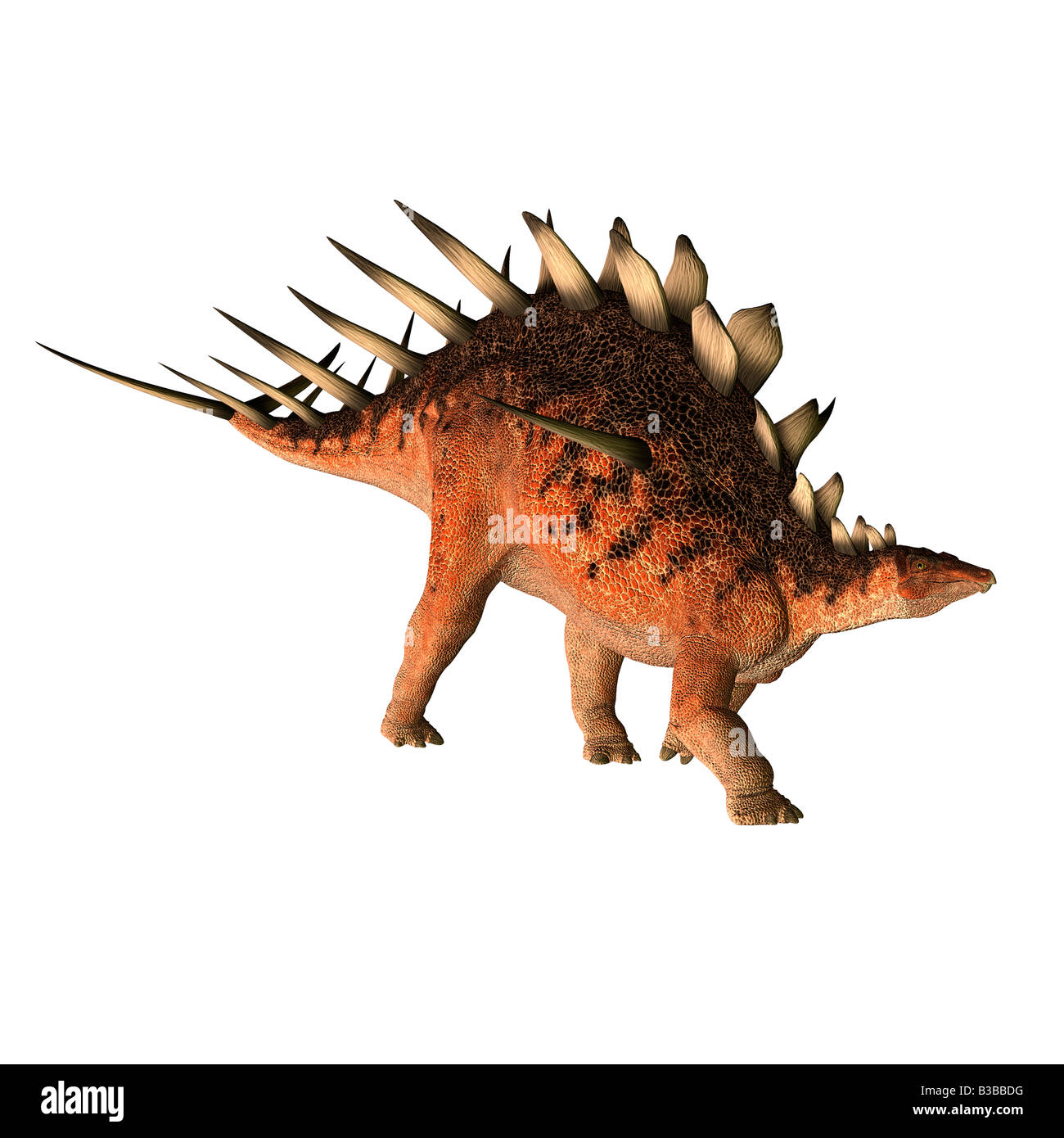 Kentrosaurus hi-res stock photography and images - Alamy