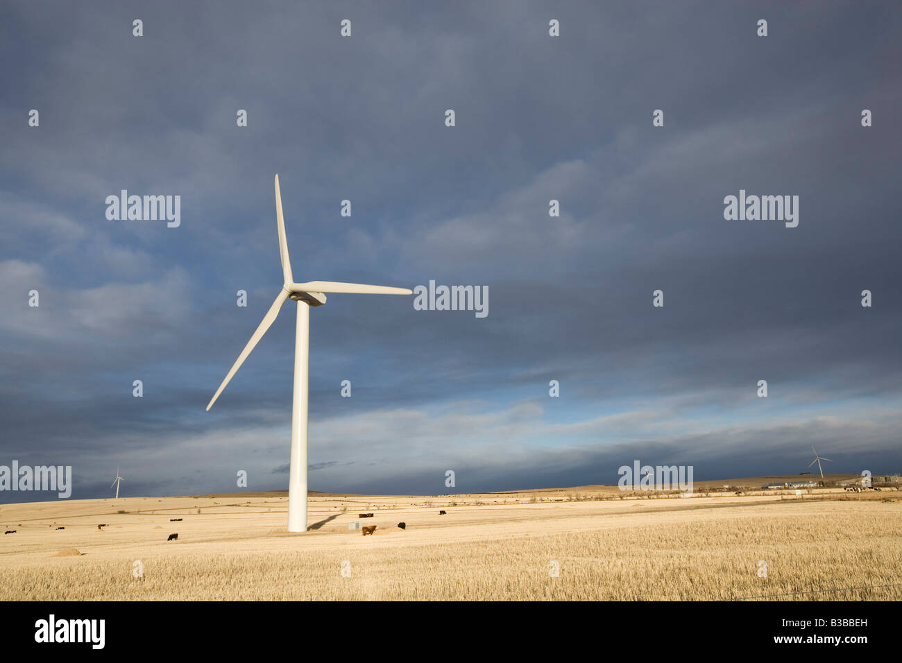 Windmill Wheel Wind Rural High Resolution Stock Photography and Images ...