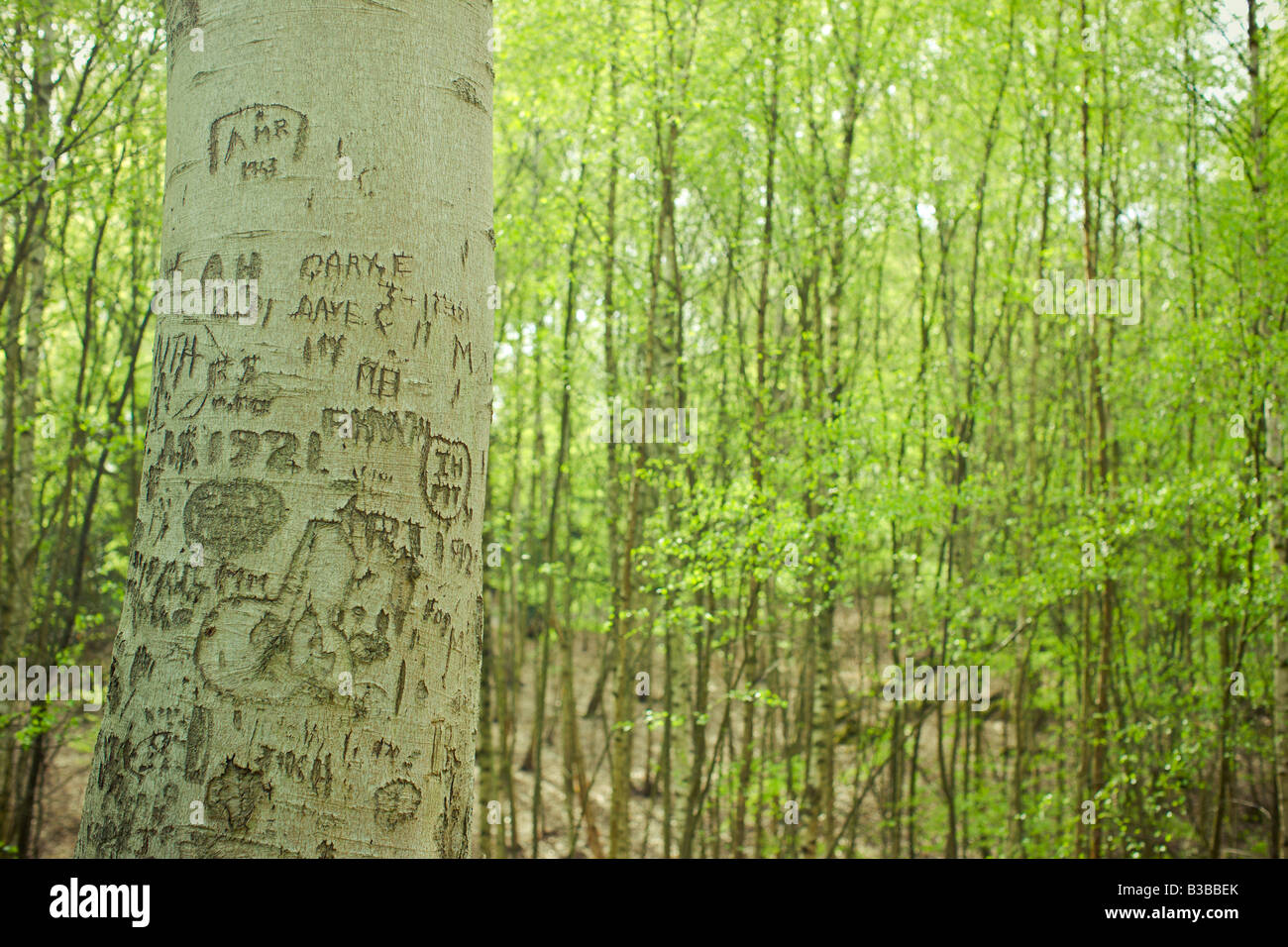 Graffiti text hi-res stock photography and images - Alamy