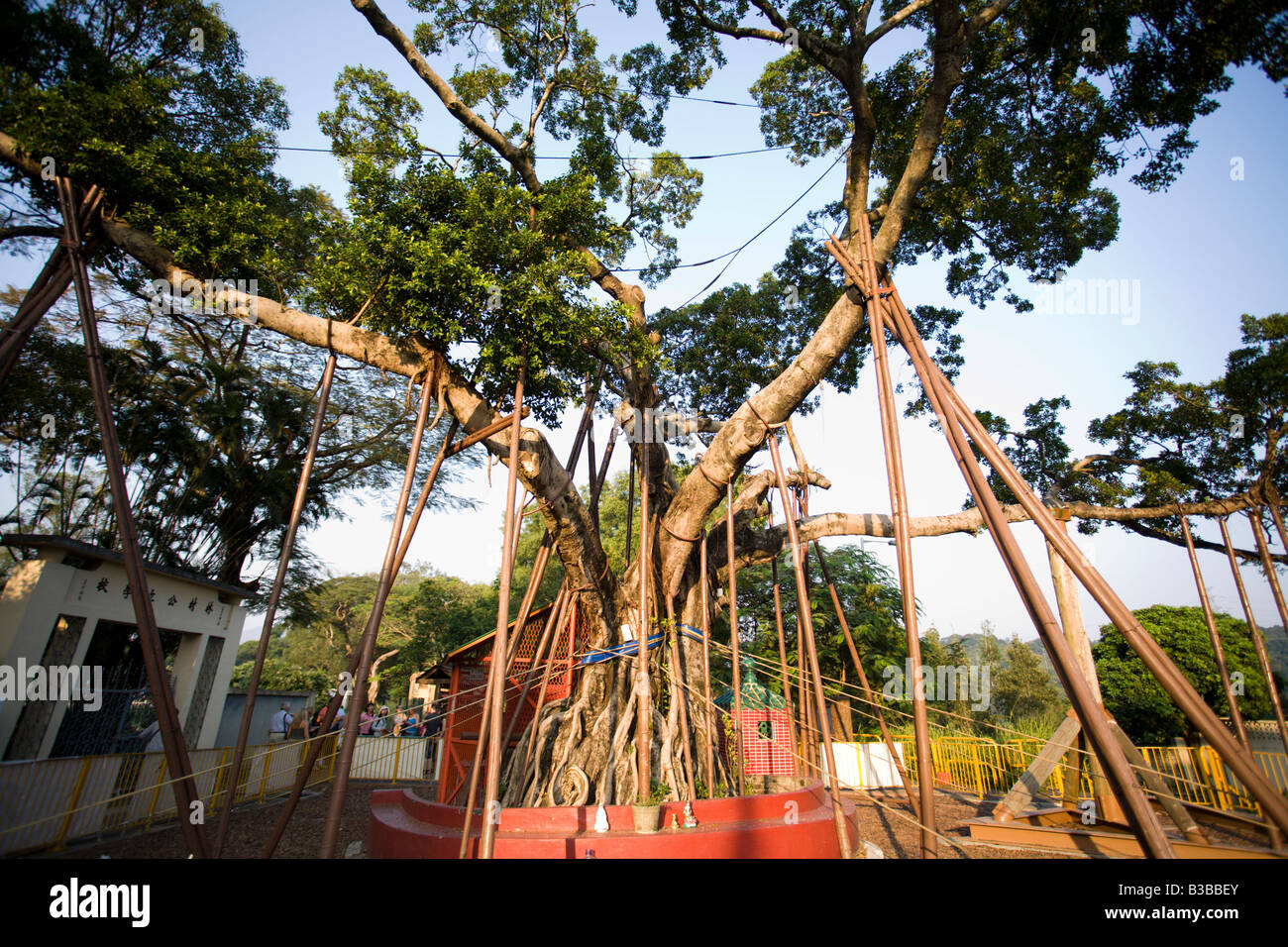Lam tsuen hong kong hi-res stock photography and images - Alamy