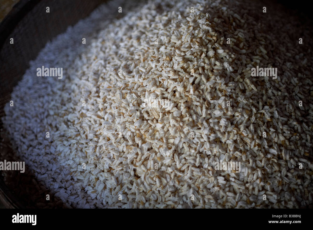 Rice, Mekong Delta, Vietnam Stock Photo - Alamy