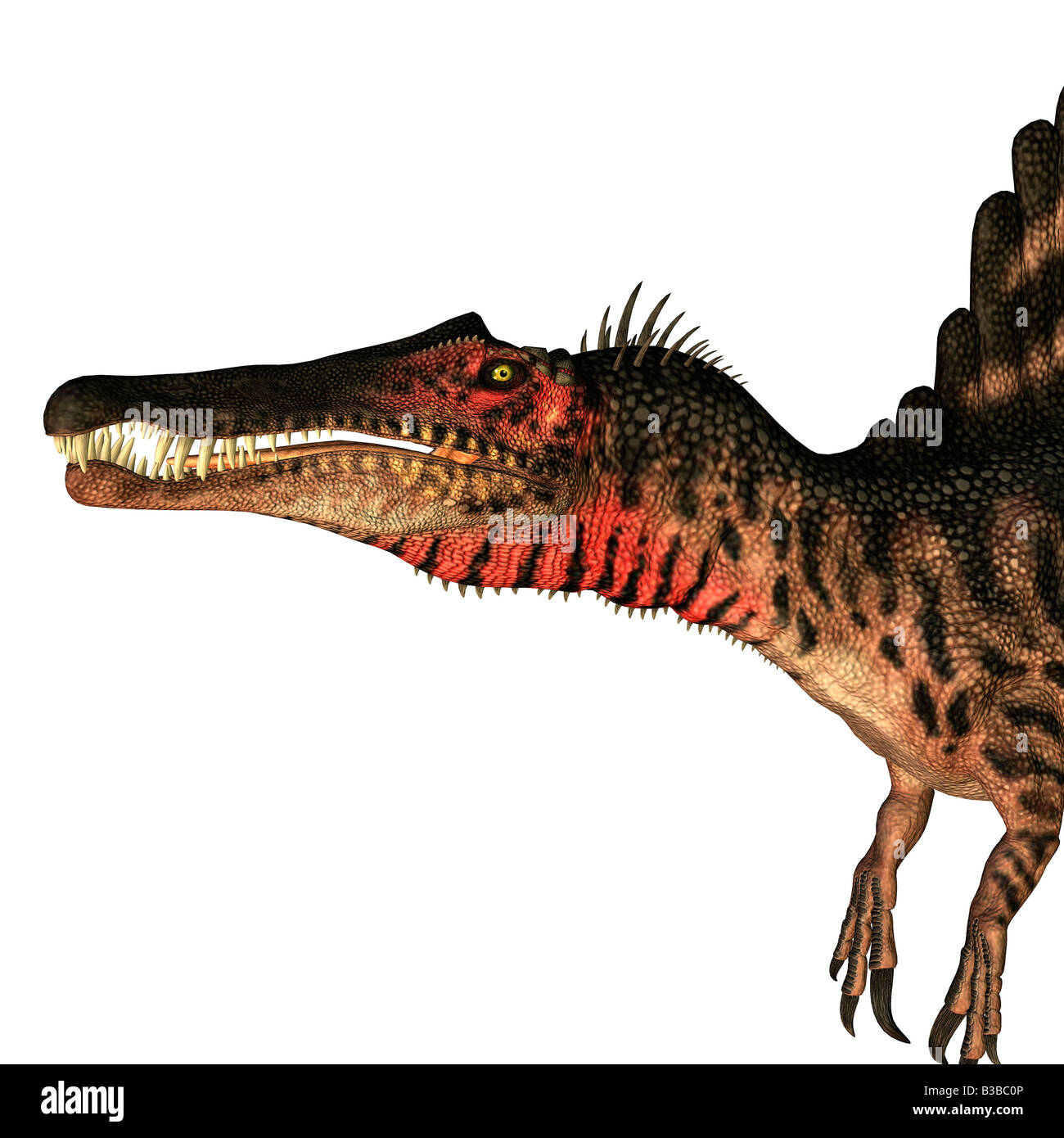 Spinosaurus dinosaur hi-res stock photography and images - Alamy