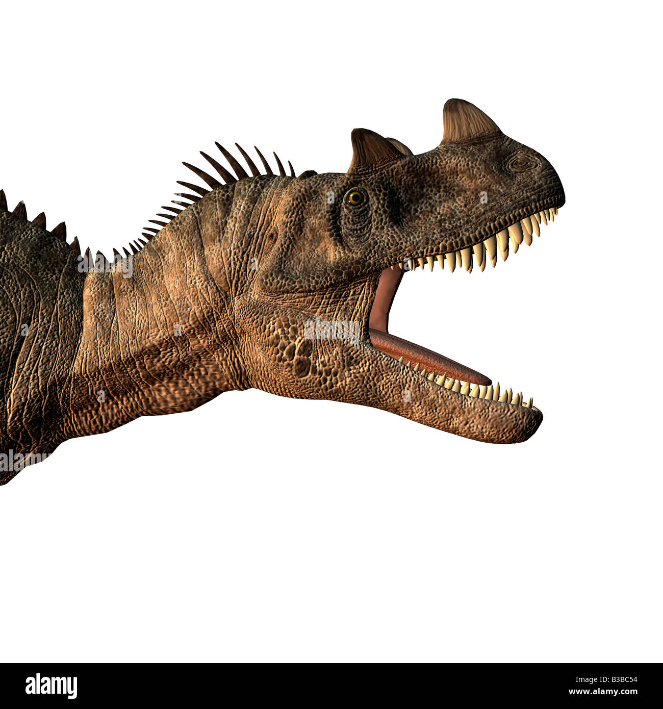 Ceratosaurus hi-res stock photography and images - Alamy