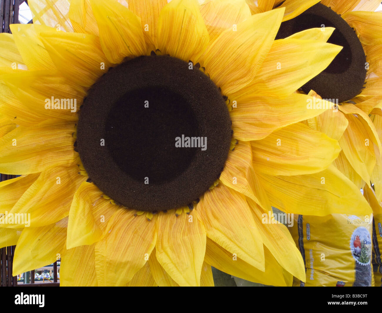 Large paper sunflower Stock Photo - Alamy