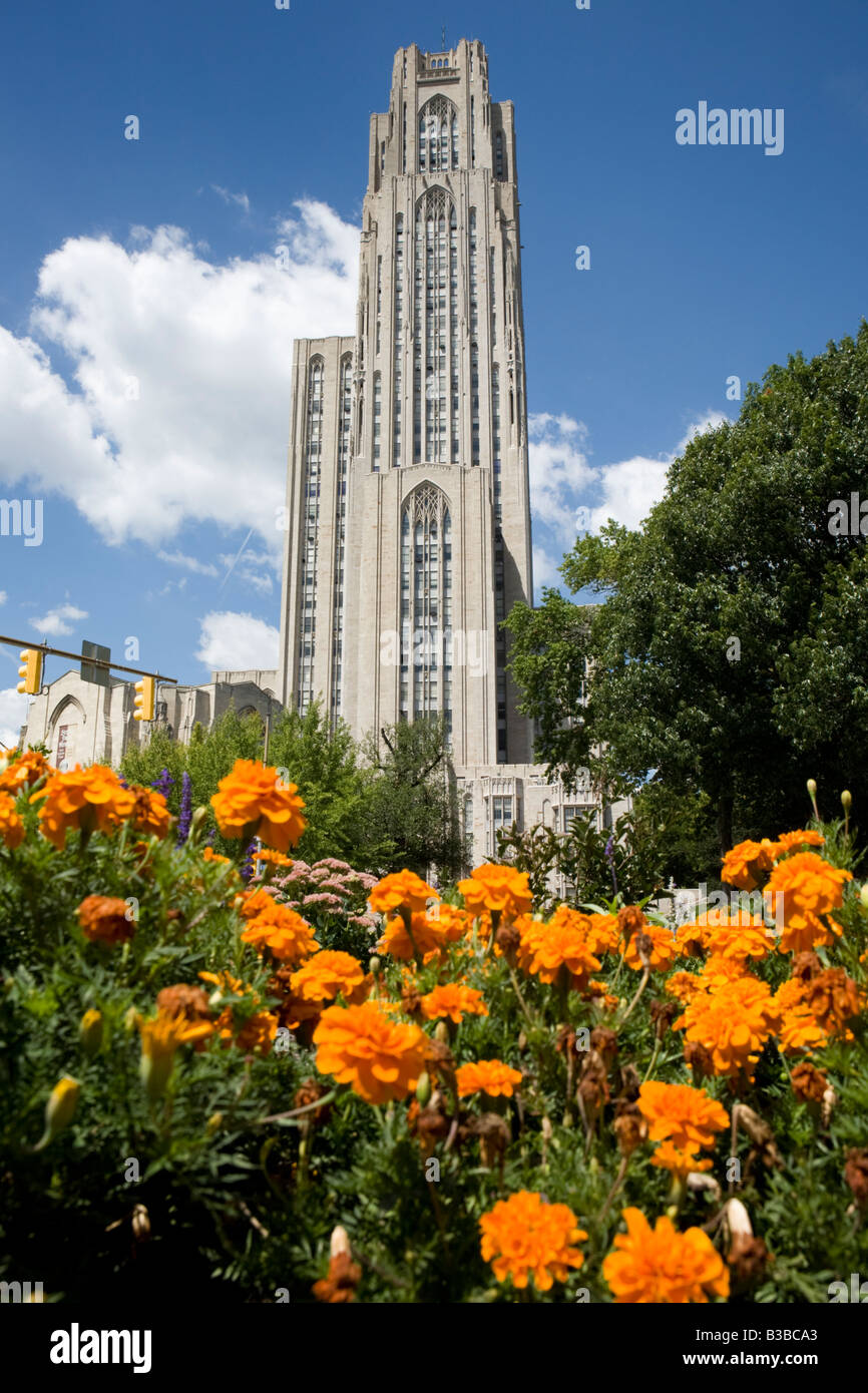 Cathedral Of Learning