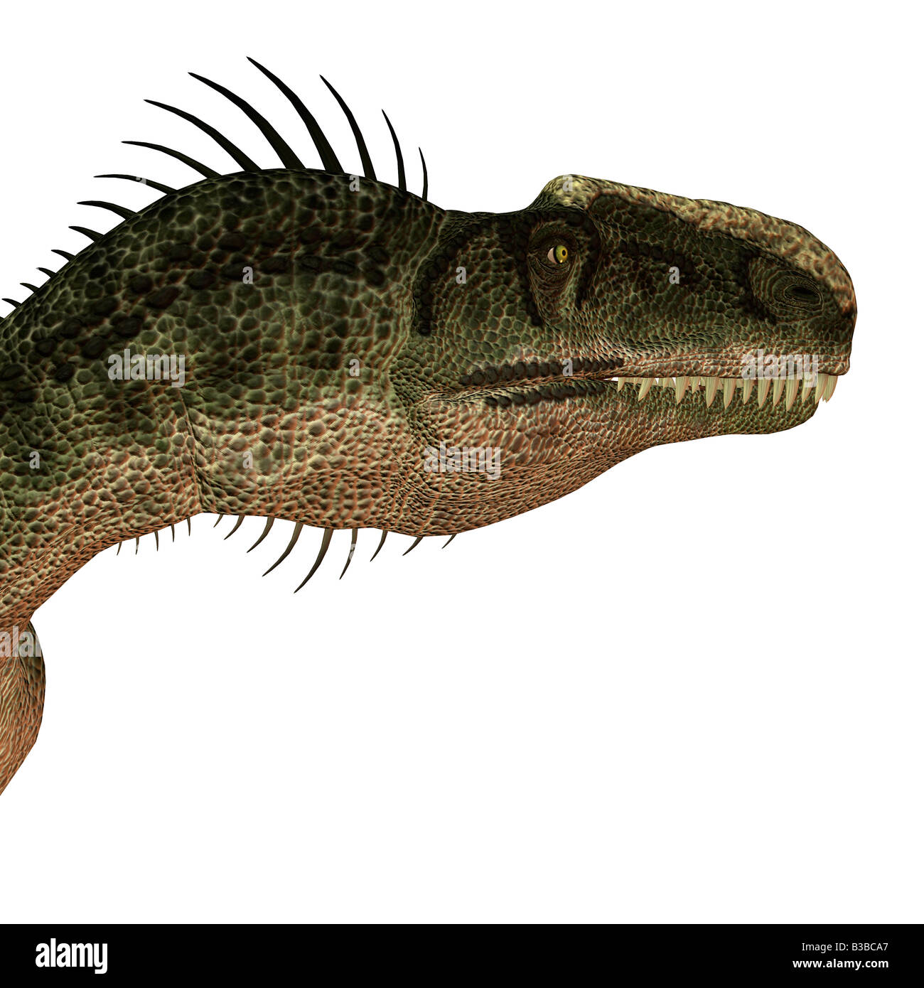 Monolophosaurus dinosaur hi-res stock photography and images - Alamy