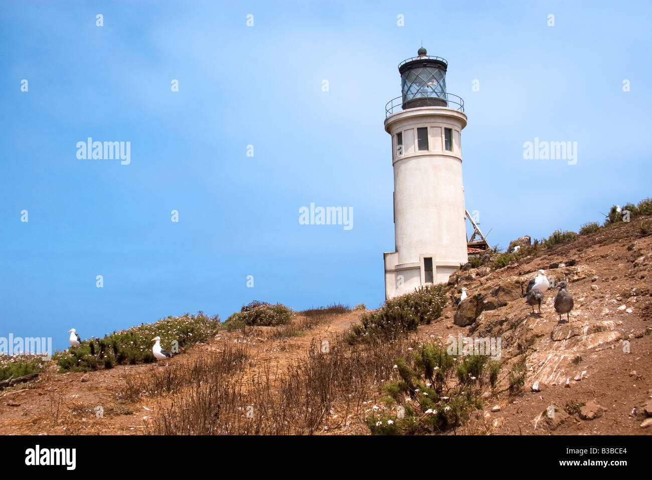 East Anacapa Lighthouse Stock Photo - Alamy
