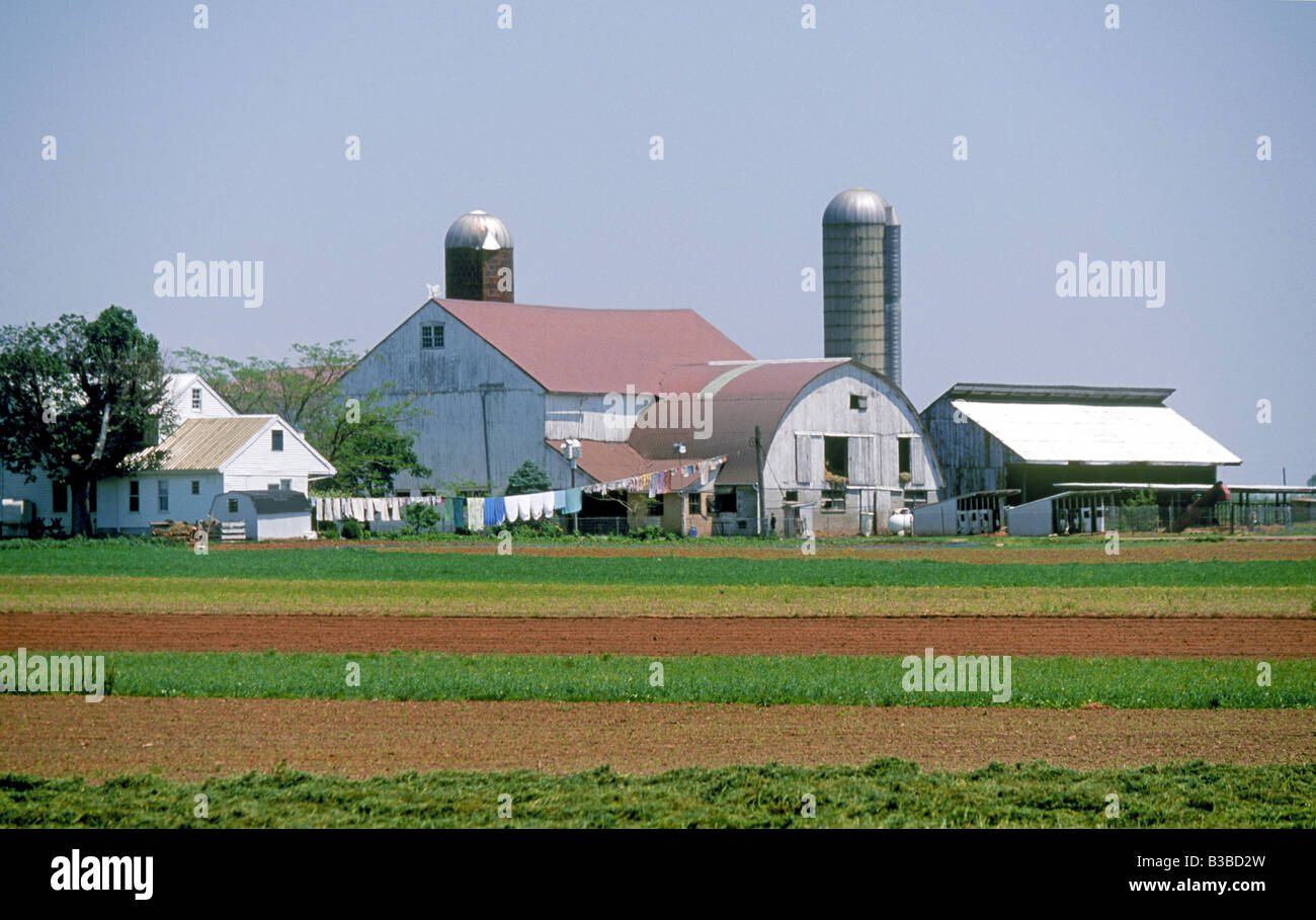 Amish farms in rural pennsylvania hi-res stock photography and images ...