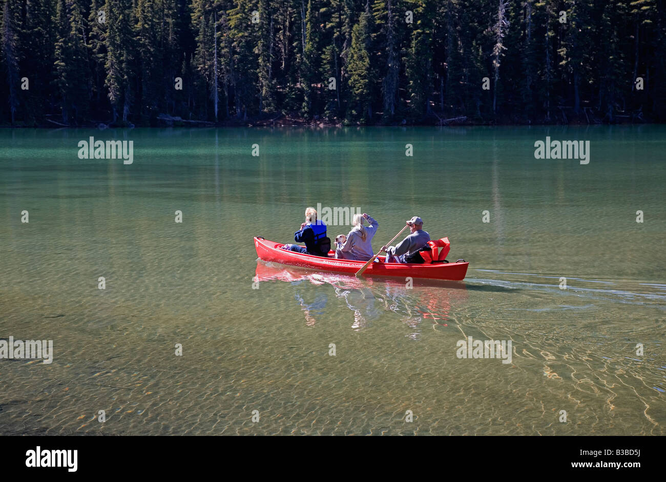 Nature tours by canoe hi-res stock photography and images - Alamy