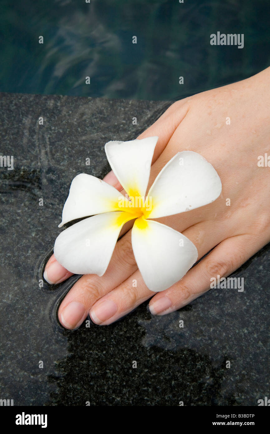 Flower hand water hi-res stock photography and images - Alamy