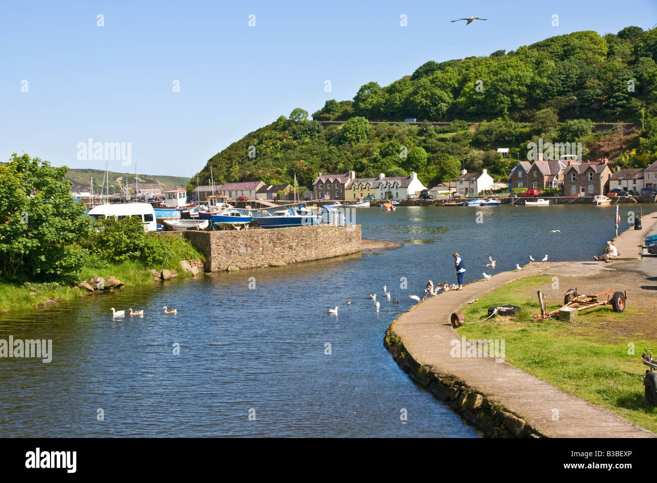 Fishguard wales hi-res stock photography and images - Alamy